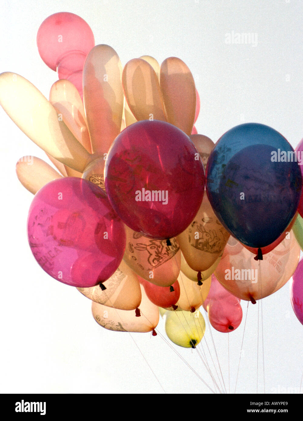 Bunch of floating Balloons Stock Photo - Alamy