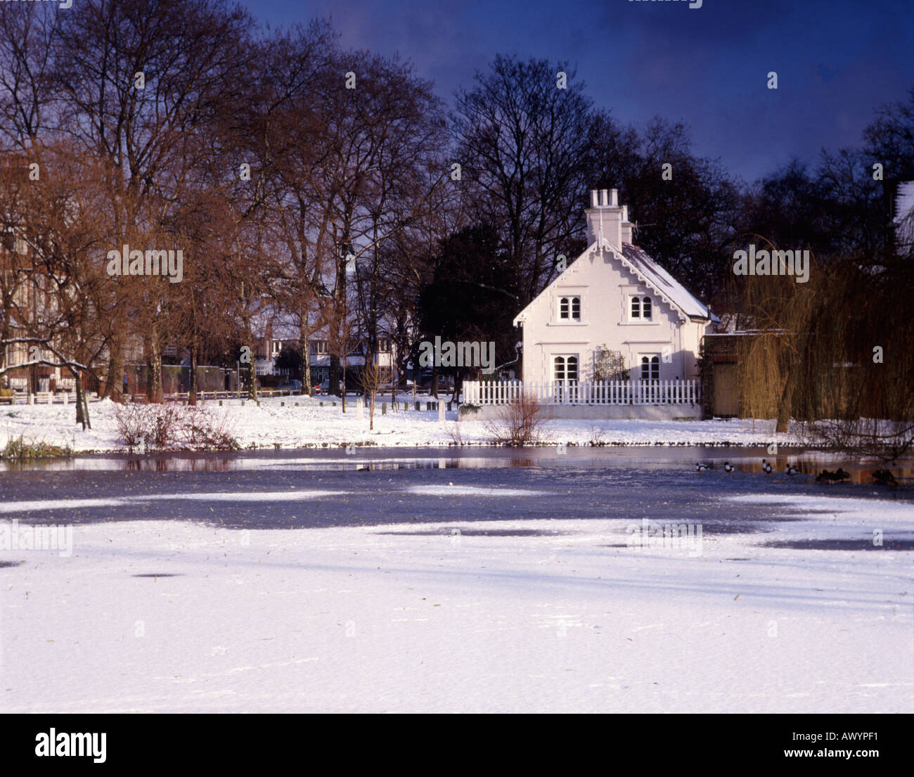Barnes pond hi-res stock photography and images - Alamy