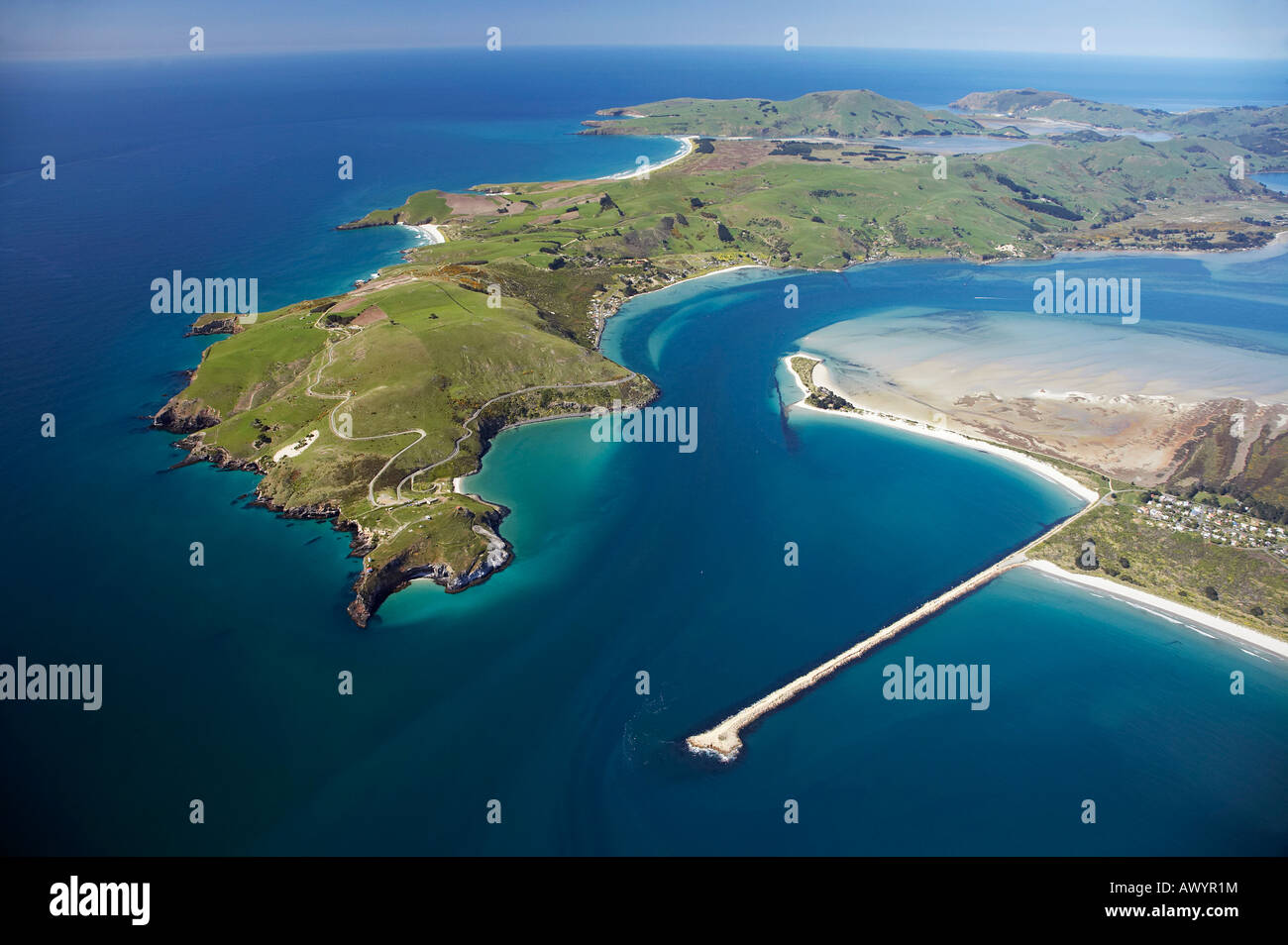 New zealand taiaroa heads hi-res stock photography and images - Alamy