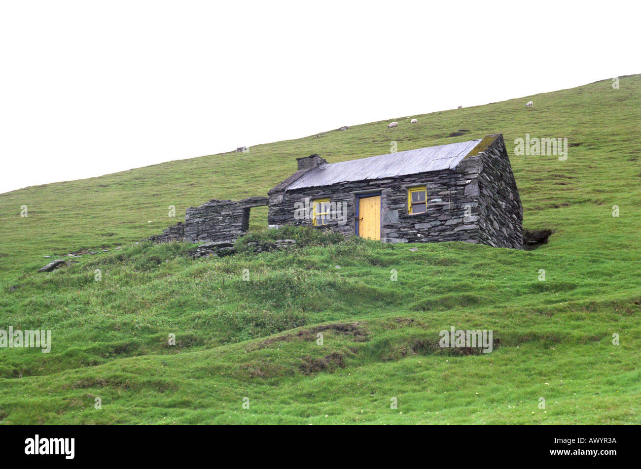 Dunquin sheep hi-res stock photography and images - Alamy