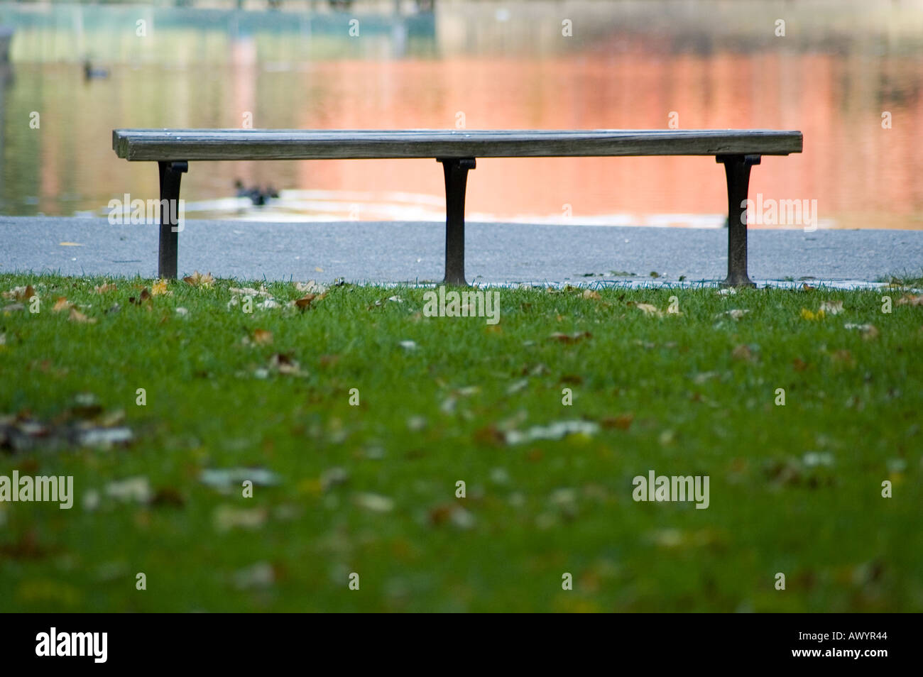 Park bench scene in Boston s Public Garden Stock Photo - Alamy