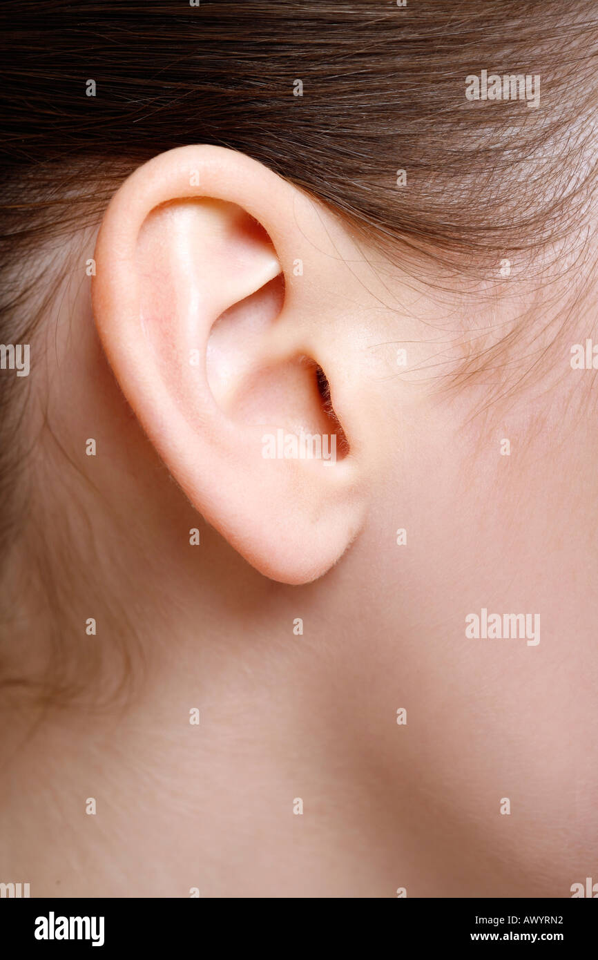 Ear aesthetics hi-res stock photography and images - Alamy