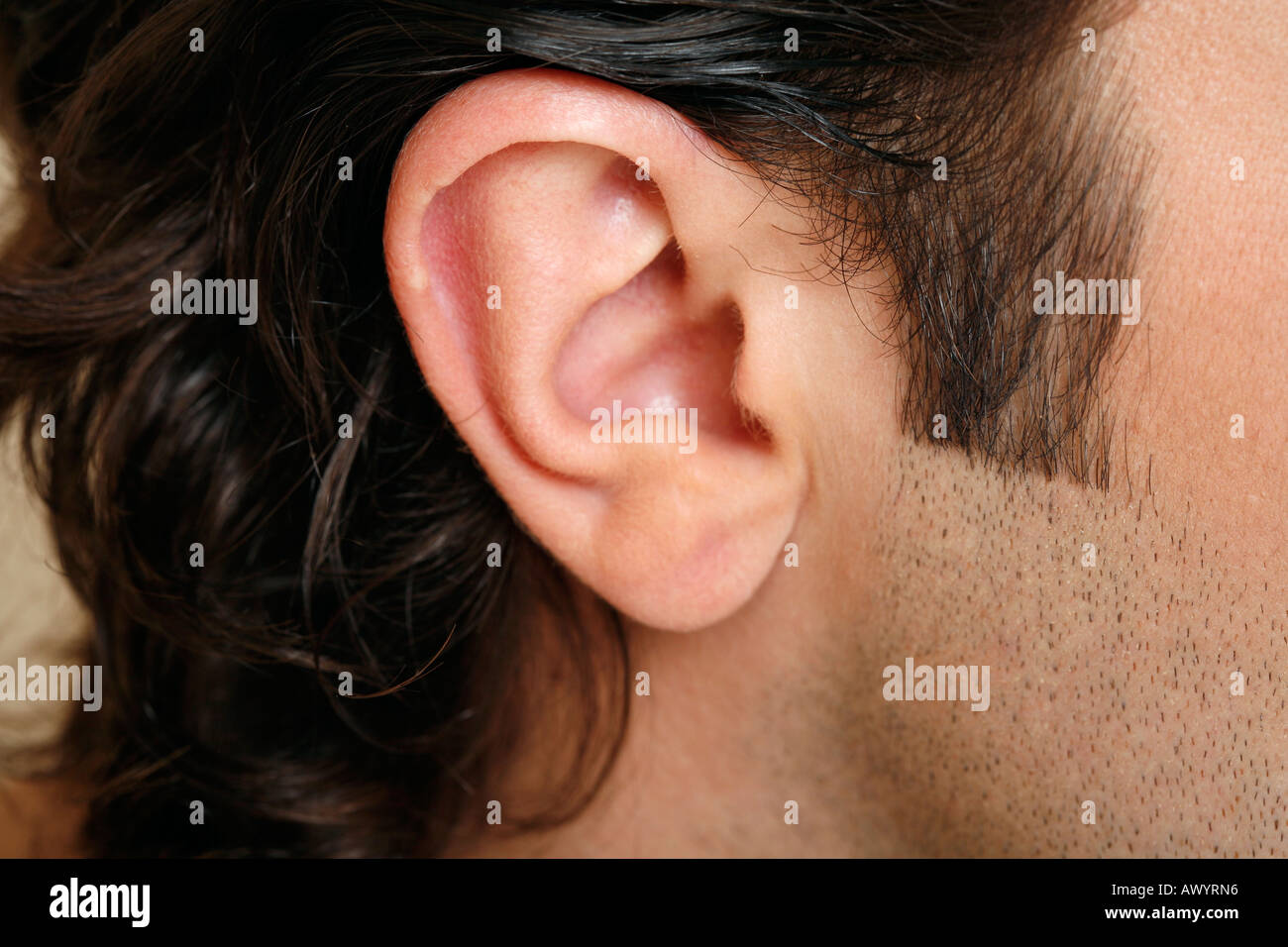 Sense of refinement hi-res stock photography and images - Alamy