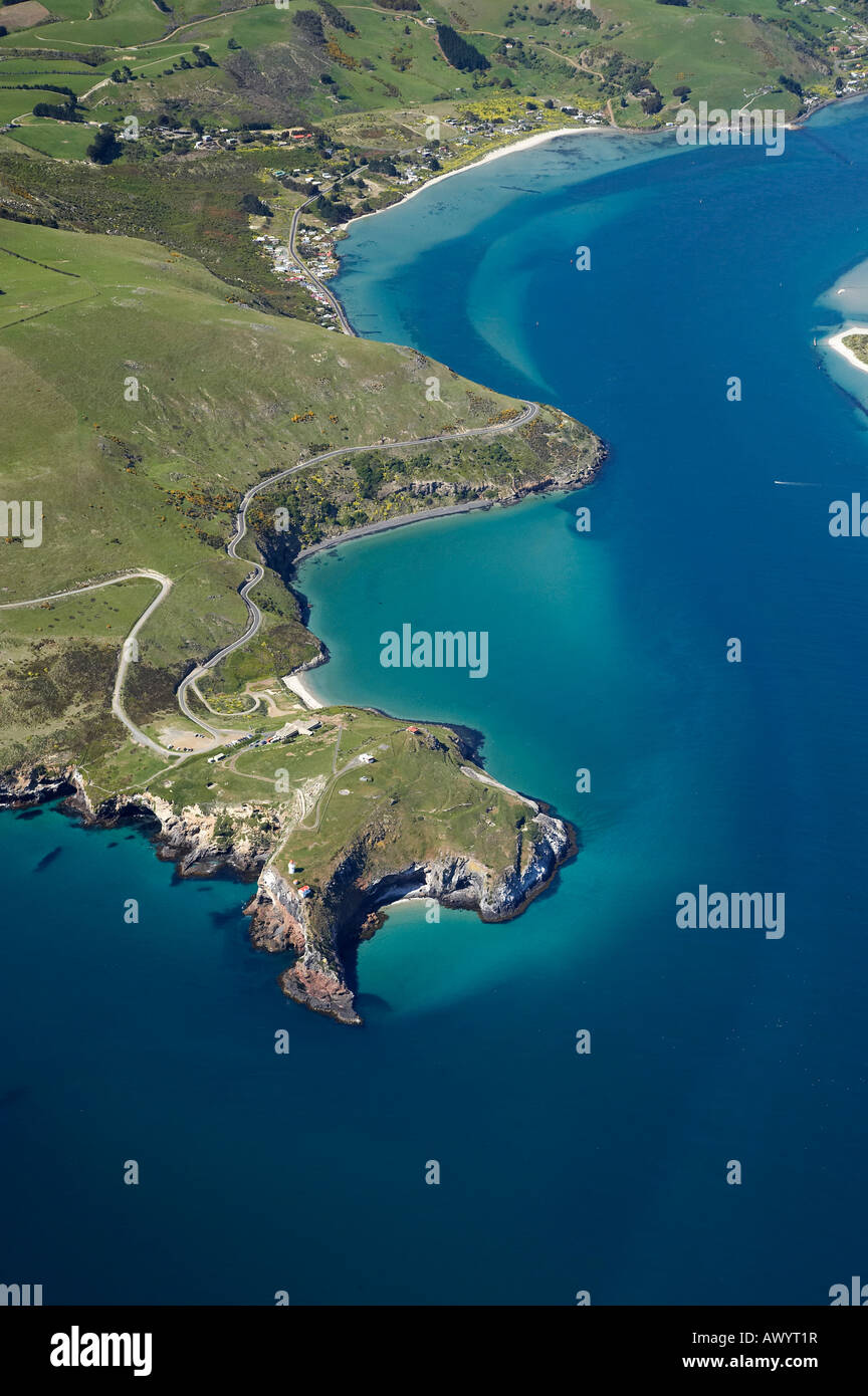 New zealand taiaroa heads hi-res stock photography and images - Alamy