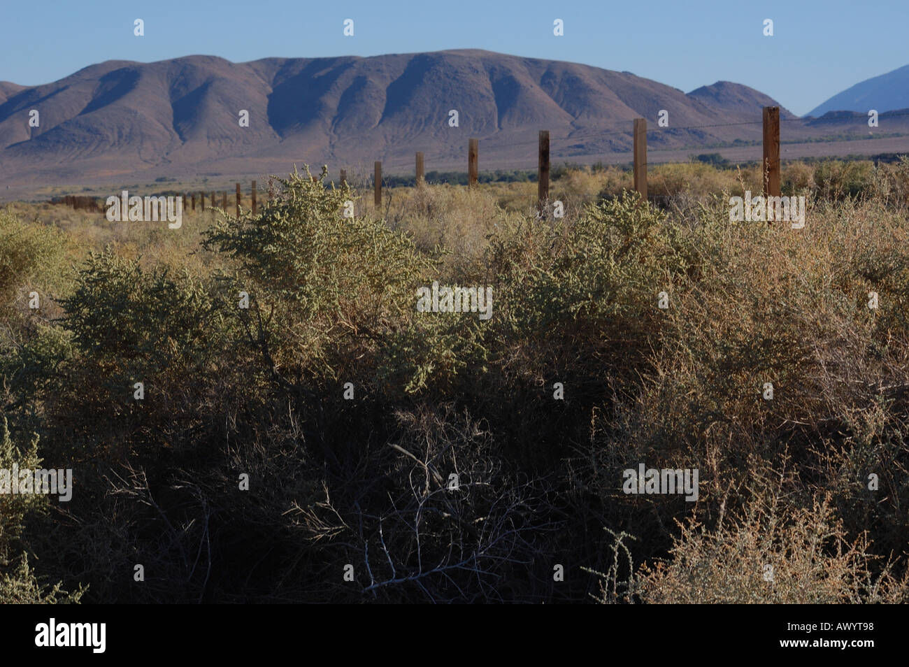 Manzanar Internment Camp Stock Photo - Alamy