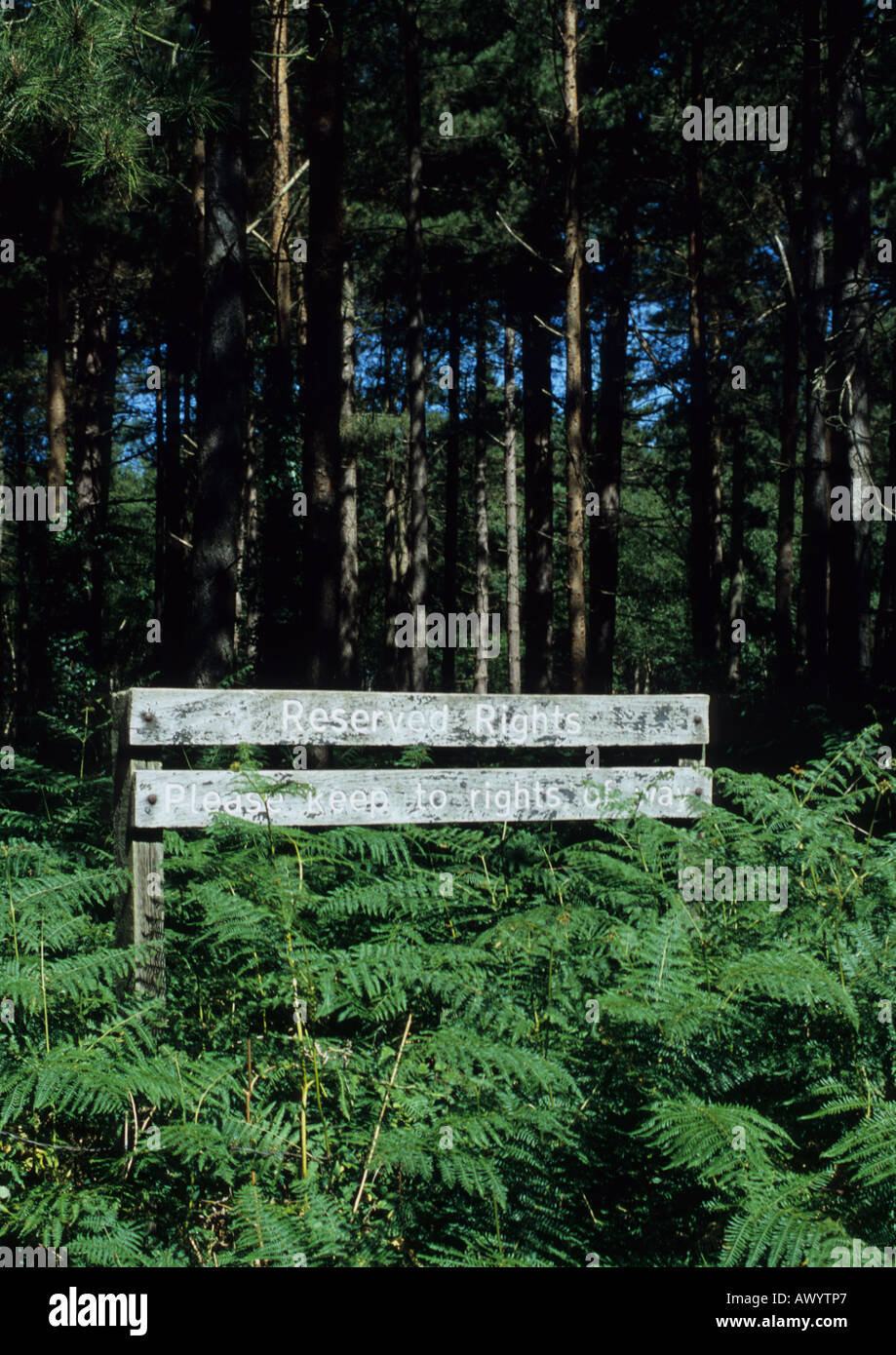 Sign In Forest in the uk Stock Photo - Alamy