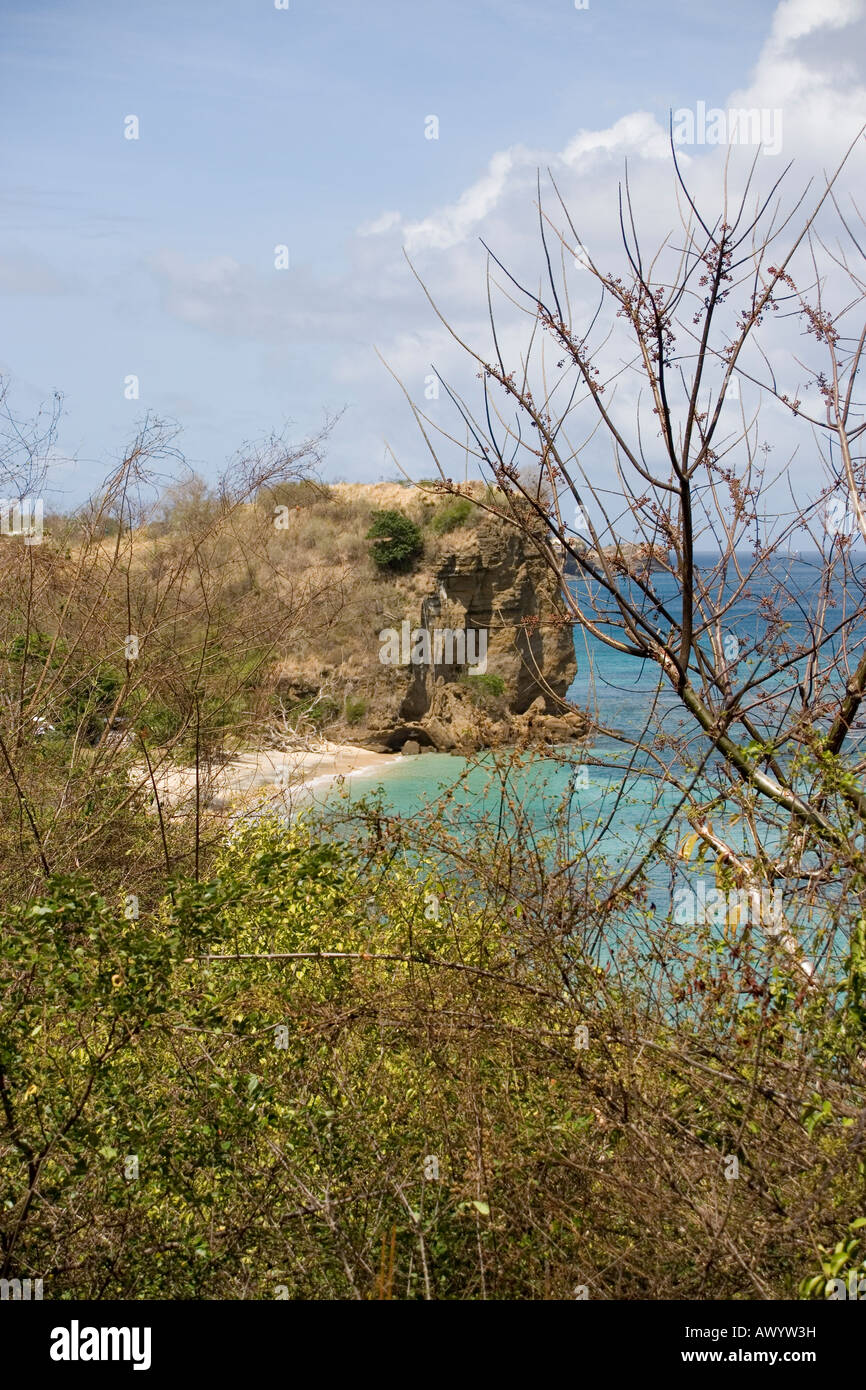 Grenada caribbean island coast water ocean sea Caribbean sea sand beach ...