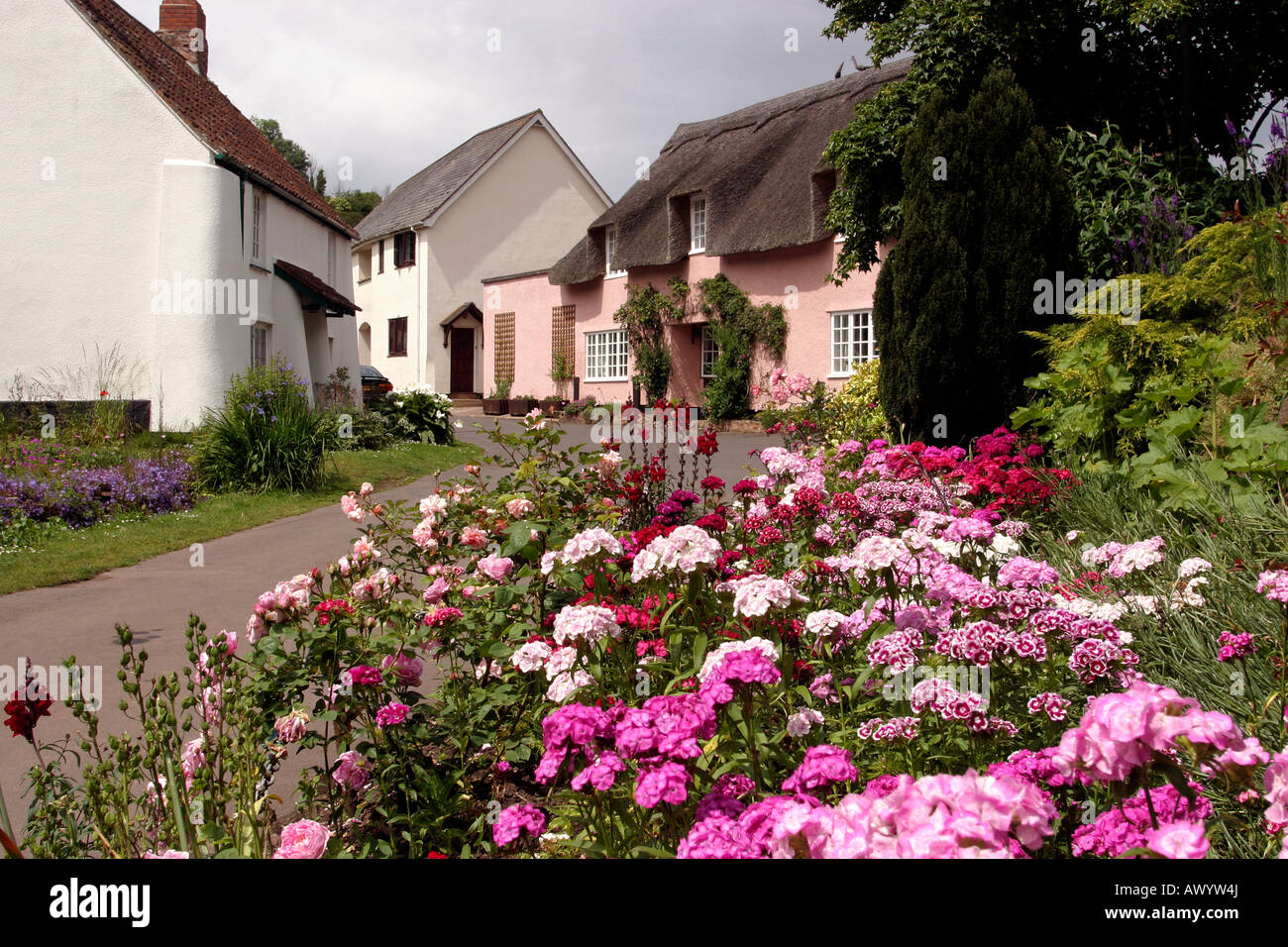 Somerset Dunster flower filled cottage gardens in Park Street Stock ...