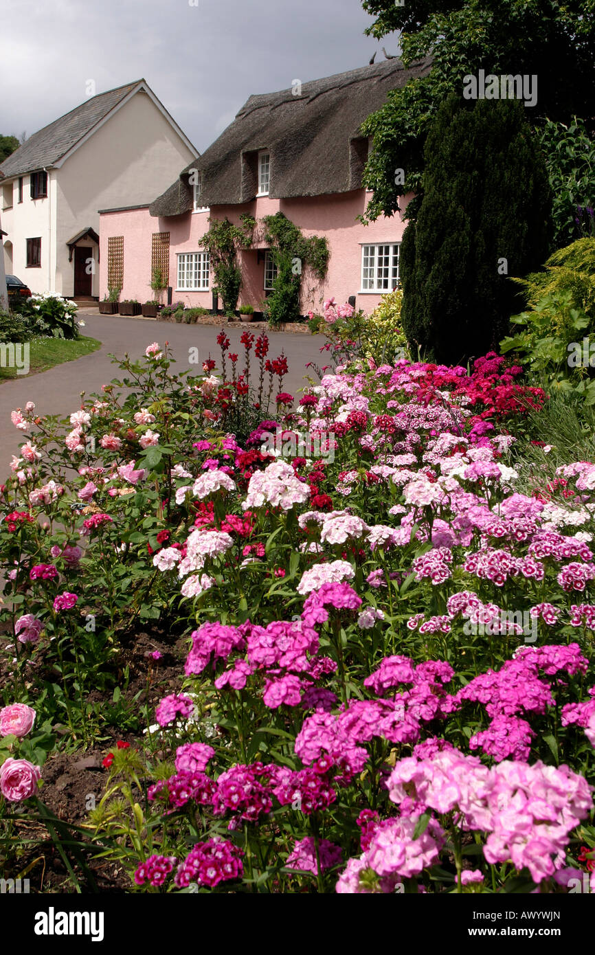 UK Somerset Dunster cottage gardens in Park Street Stock Photo - Alamy