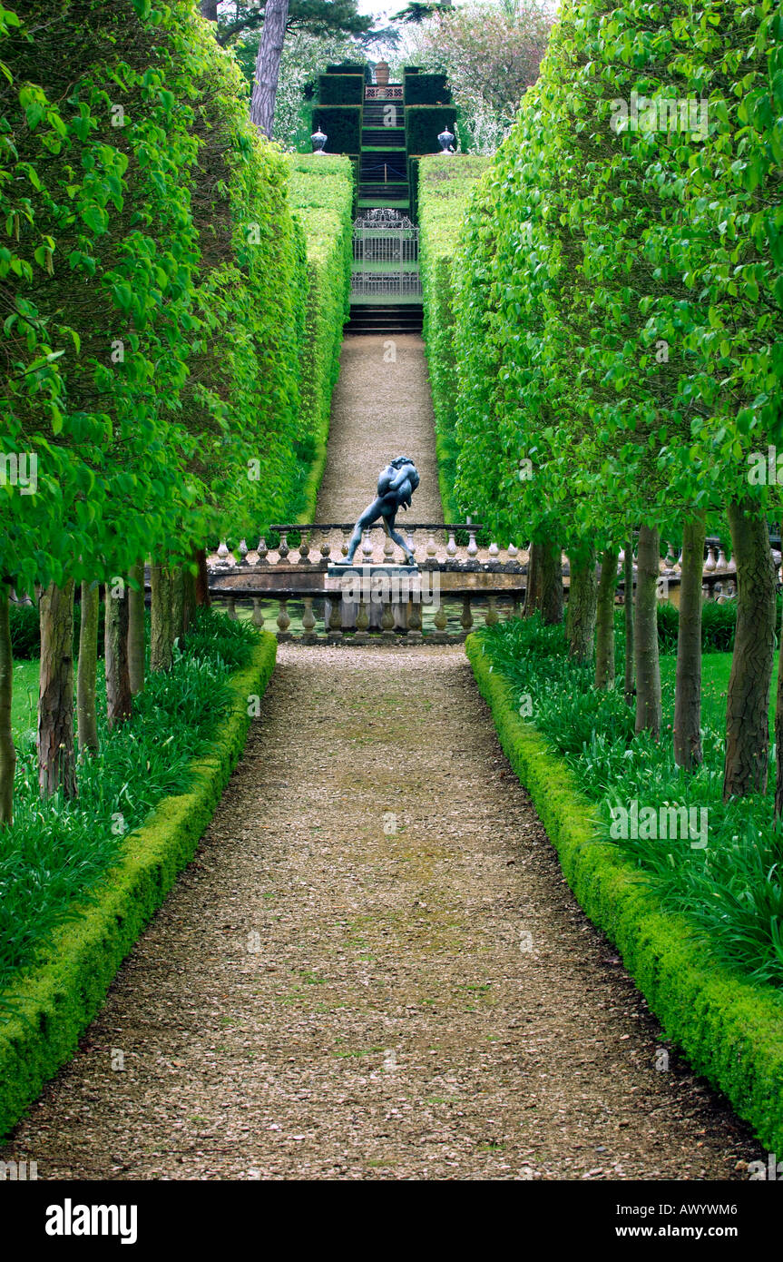 Pleached hi-res stock photography and images - Alamy