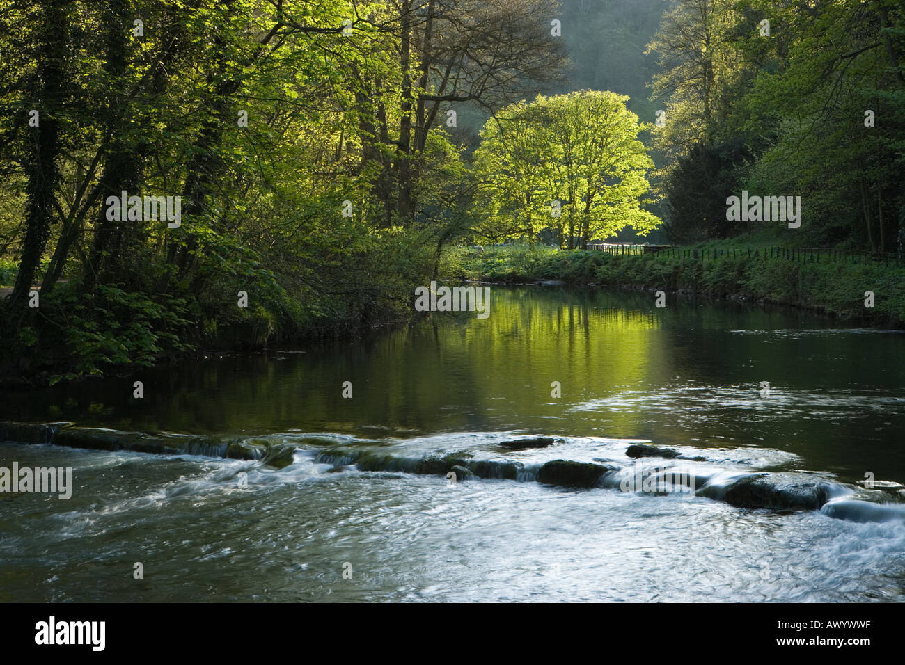The River Manifold at Ilam Park Derbyshire with trees reflected in the ...
