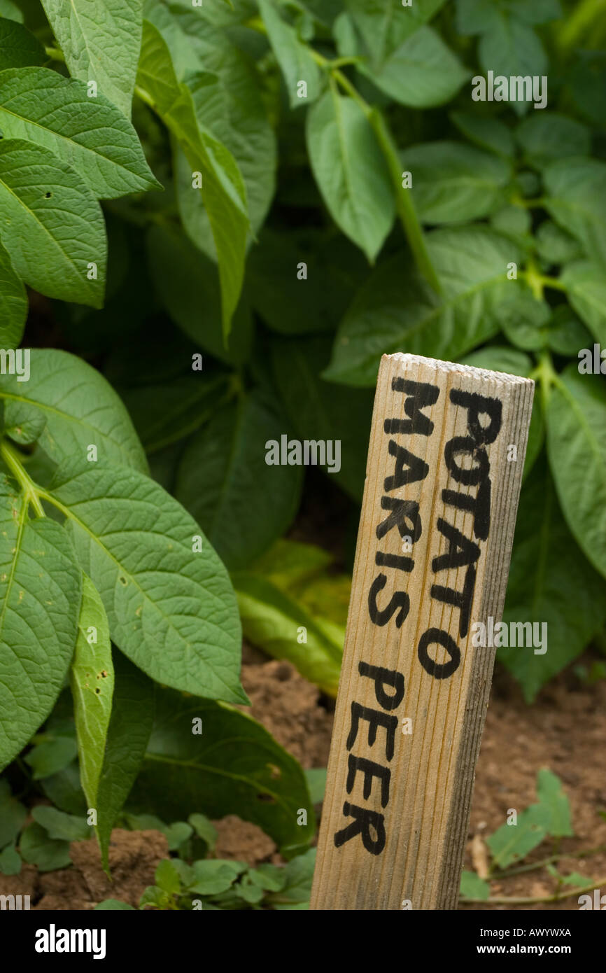 Chartists hi-res stock photography and images - Alamy