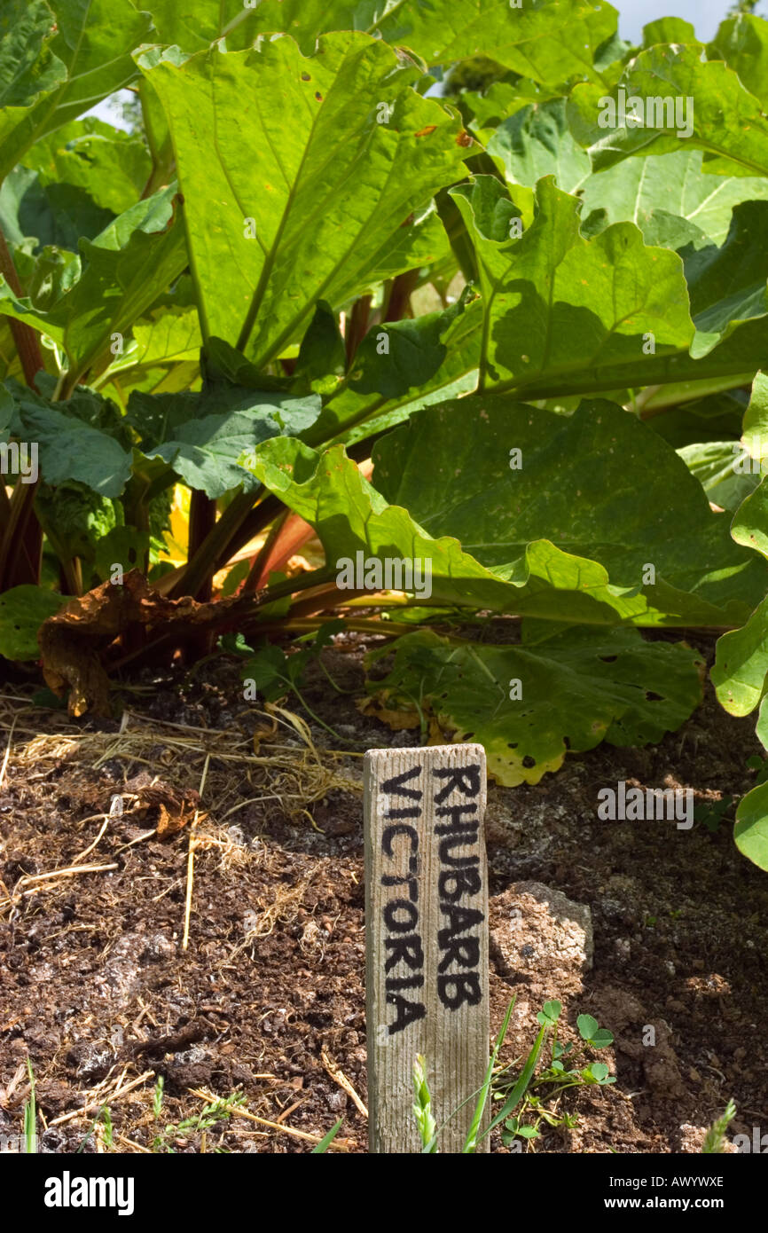 Chartists hi-res stock photography and images - Alamy