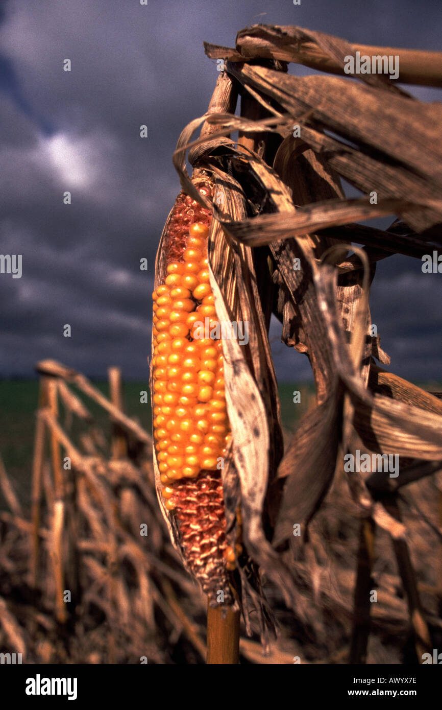 Decaying storm hi-res stock photography and images - Alamy