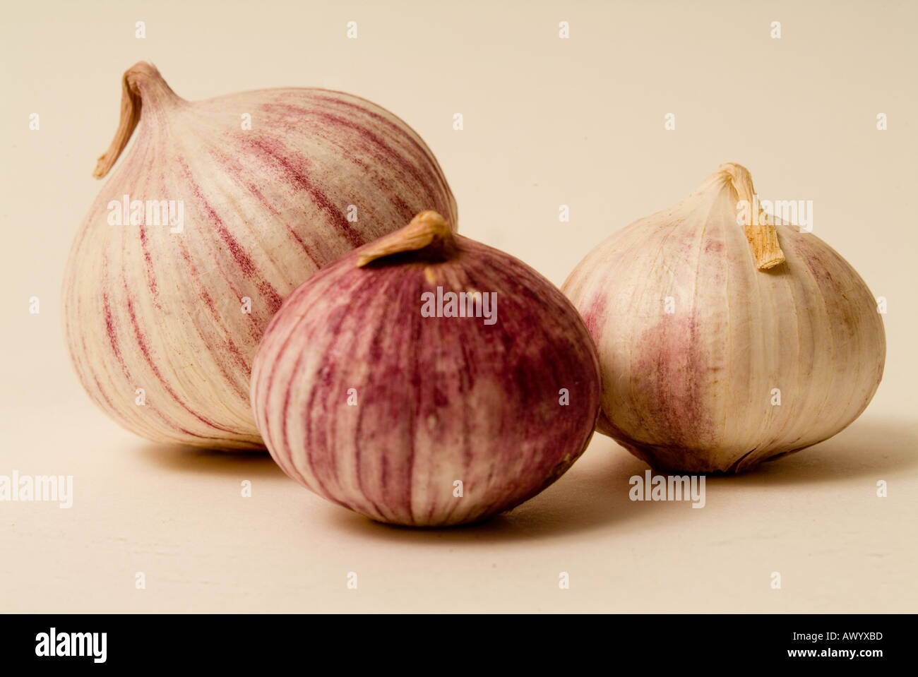 single clove garlic Stock Photo - Alamy