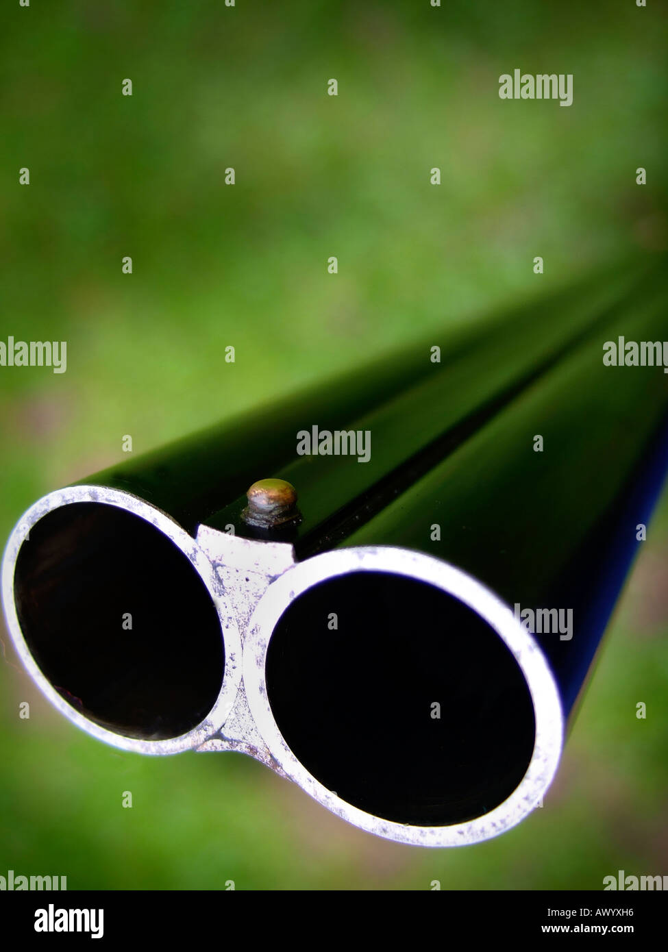 12 bore shotgun barrels Stock Photo - Alamy