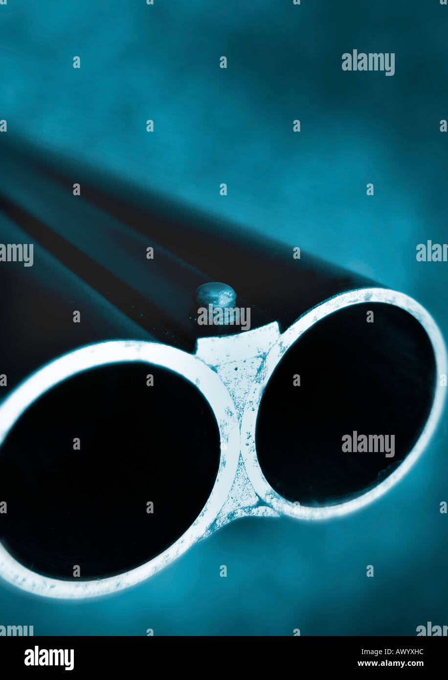12 bore shotgun barrels Stock Photo - Alamy