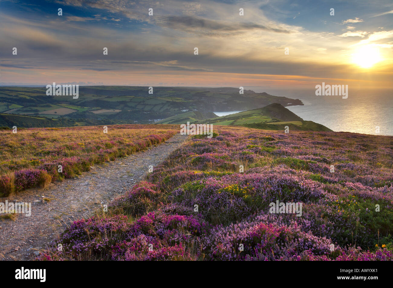 Coastal path in summer on the Great Hangman with the Little Hangman ...
