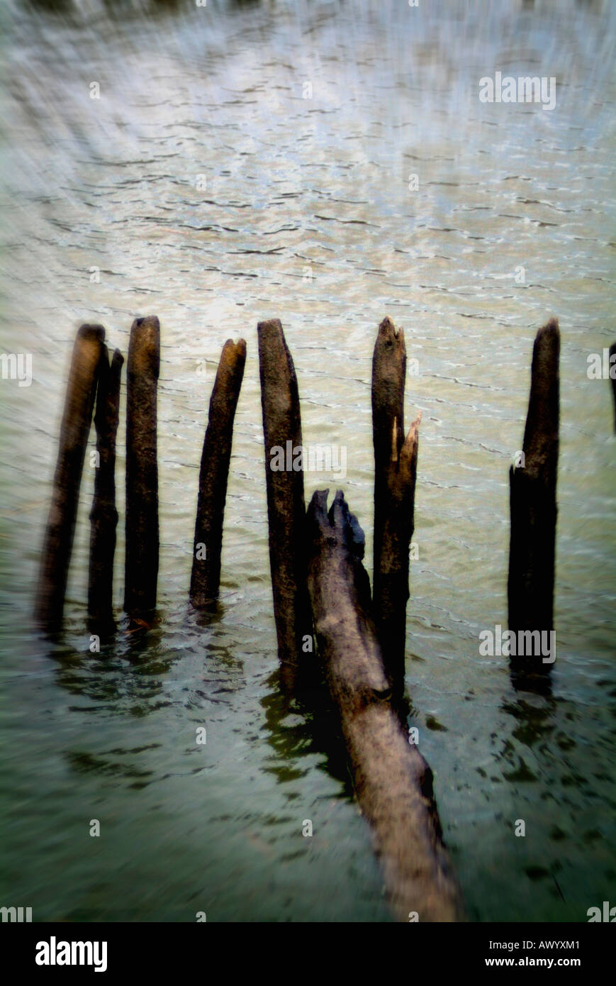 Shimmering waterways hi-res stock photography and images - Alamy