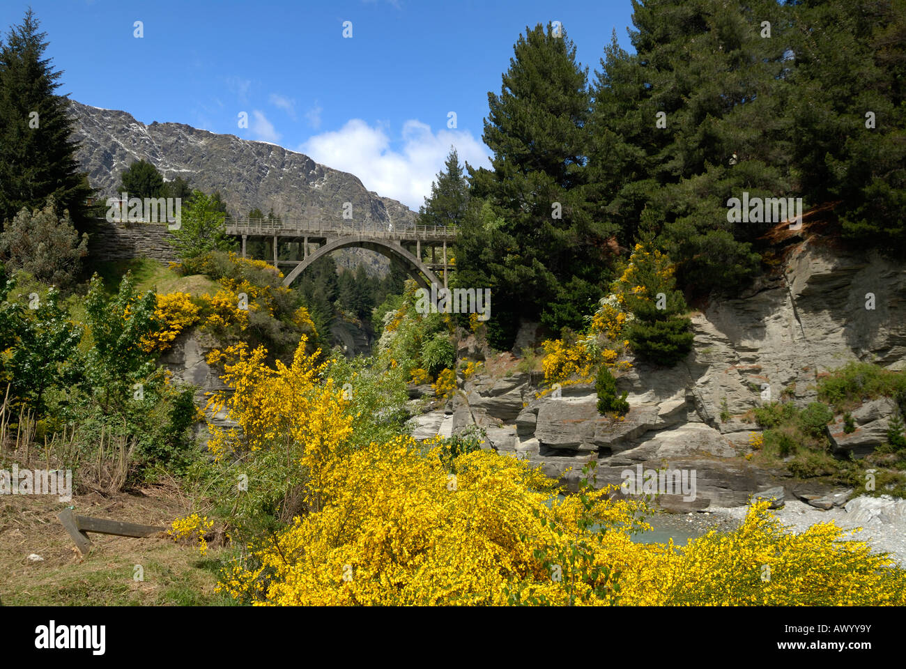 Shotover Hill High Resolution Stock Photography and Images - Alamy