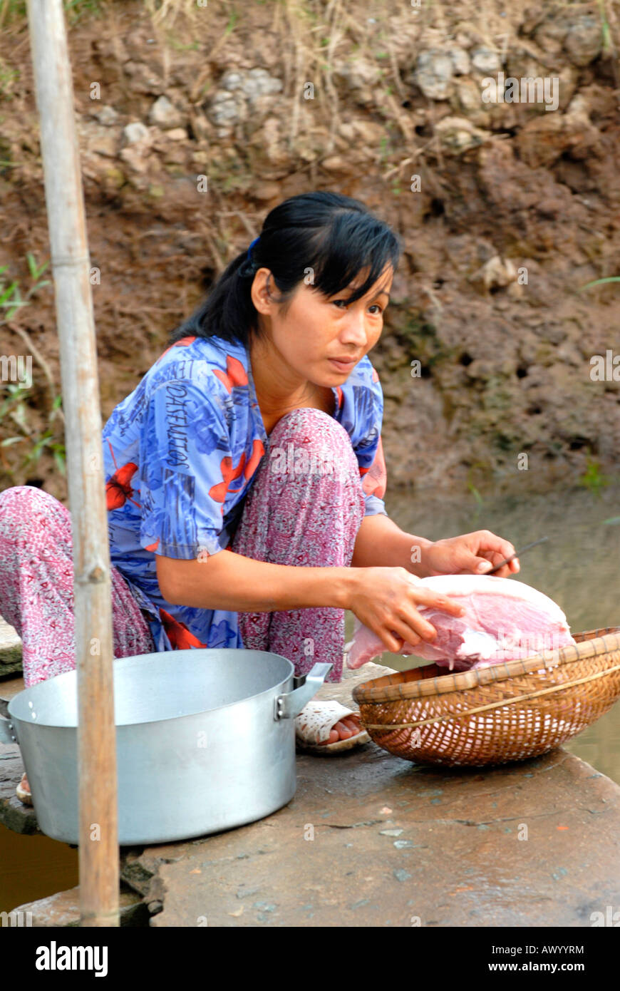 Asia Far East Vietnam Mekong Delta pretty young woman prepares pork ...