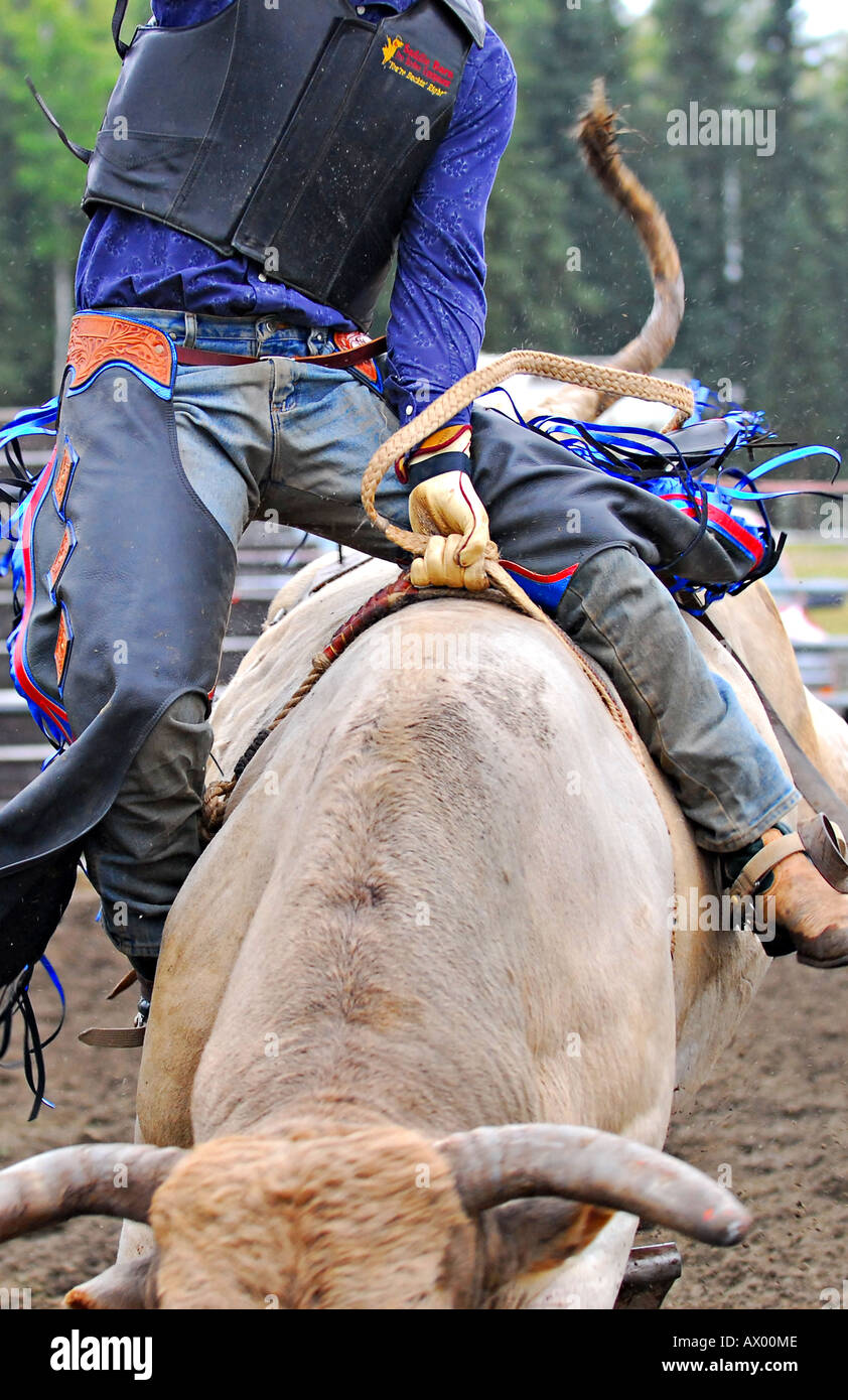 Bull rider concept hi-res stock photography and images - Alamy
