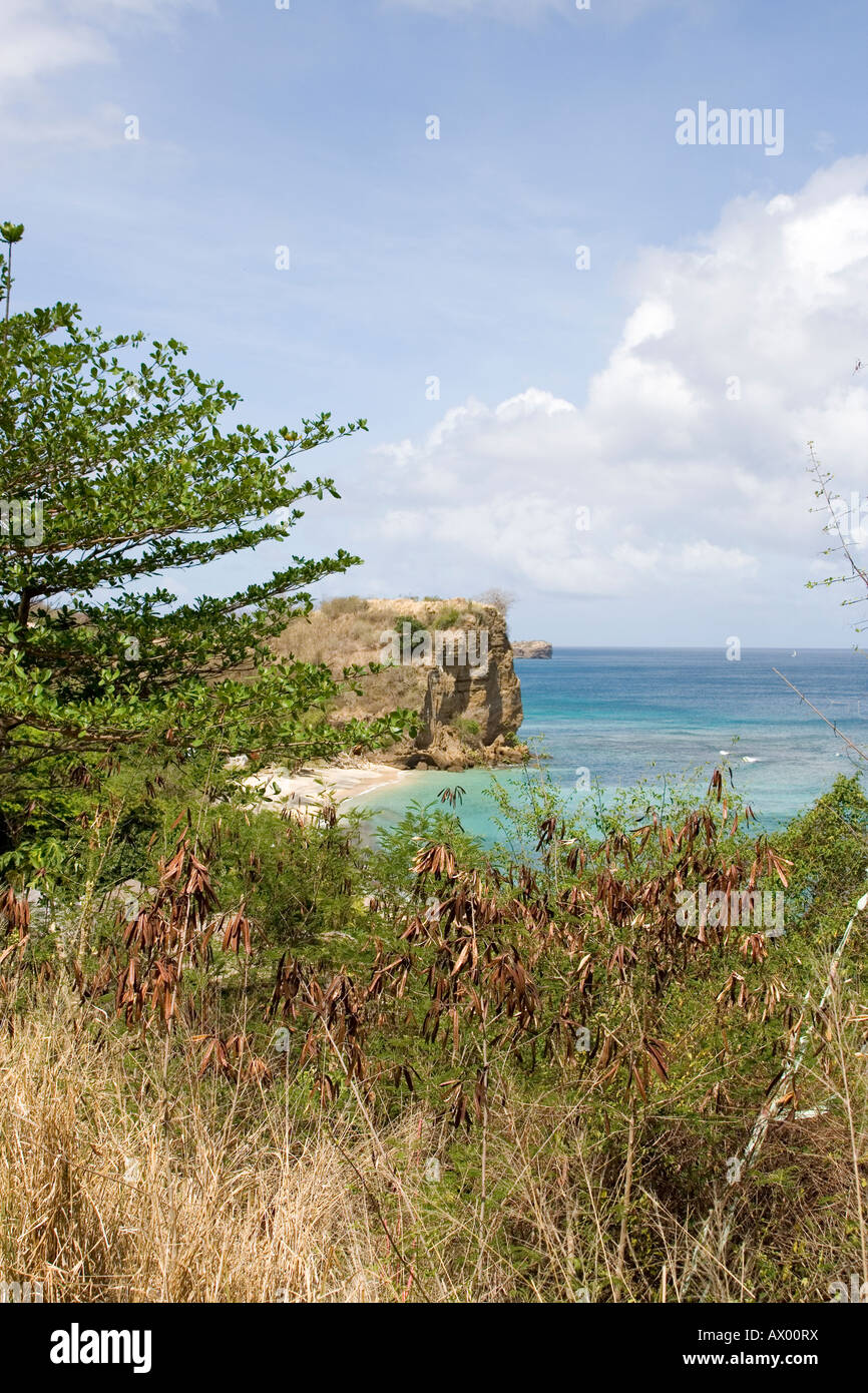 Grenada caribbean island coast water ocean sea Caribbean sea sand beach ...