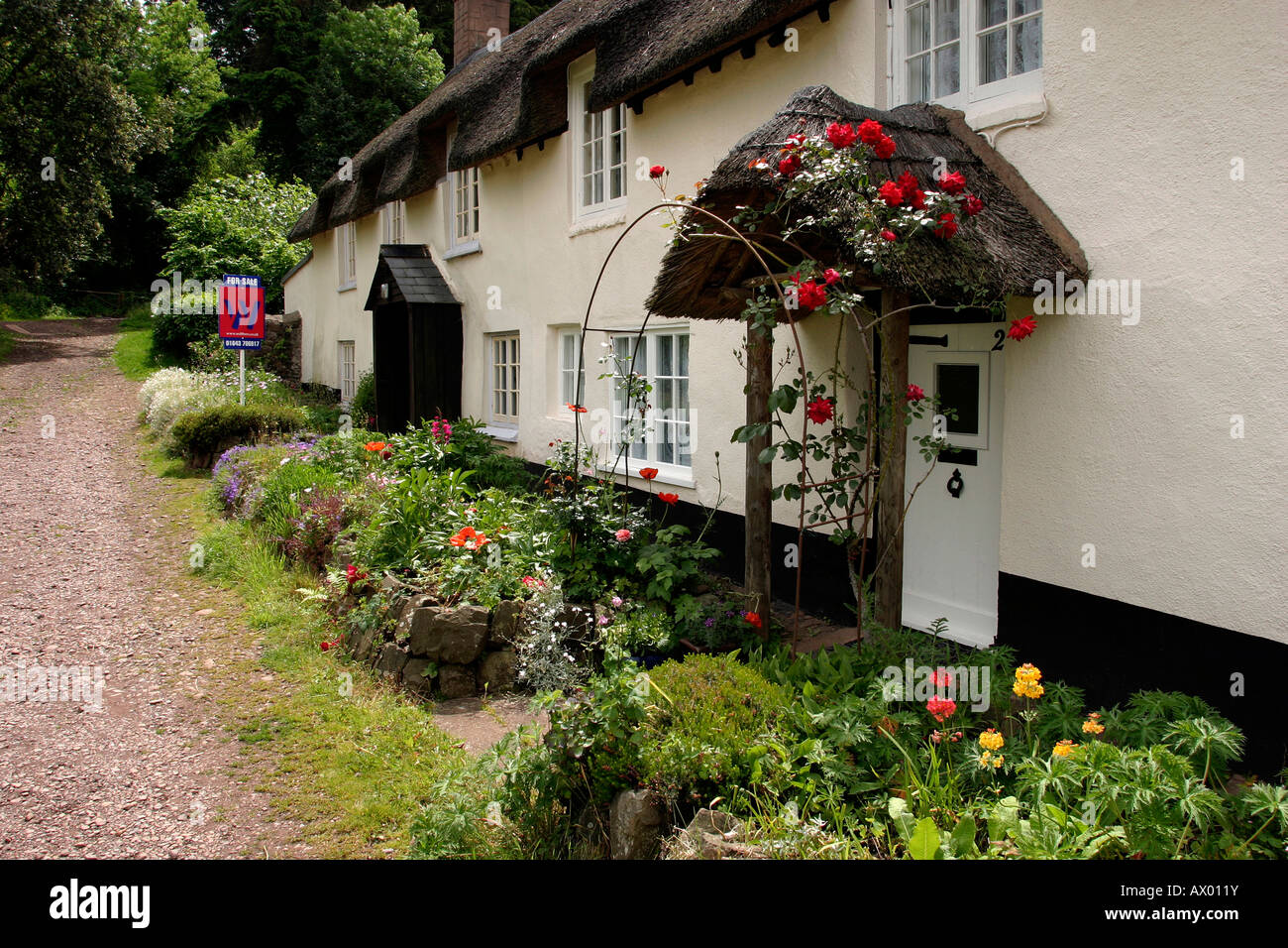 Somerset Dunster cottage gardens in Park Street Stock Photo - Alamy