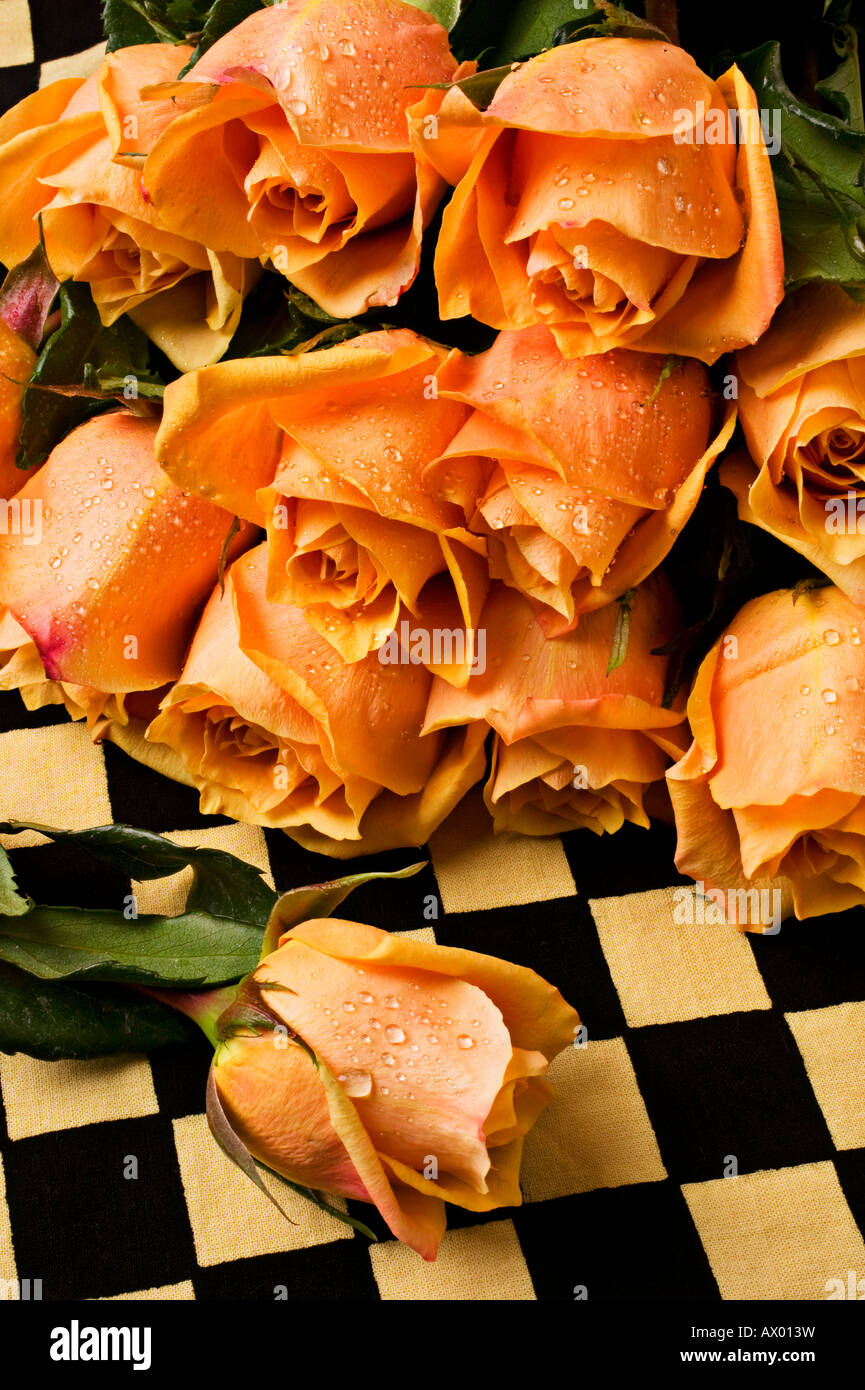 yellow roses on checker cloth Stock Photo - Alamy