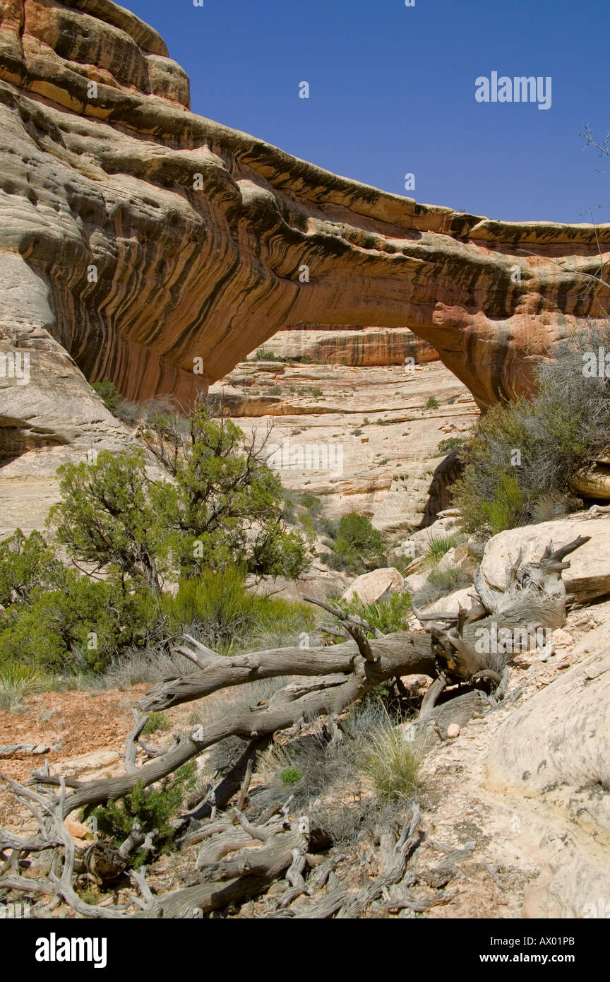 Natural Bridges, Utah Stock Photo - Alamy