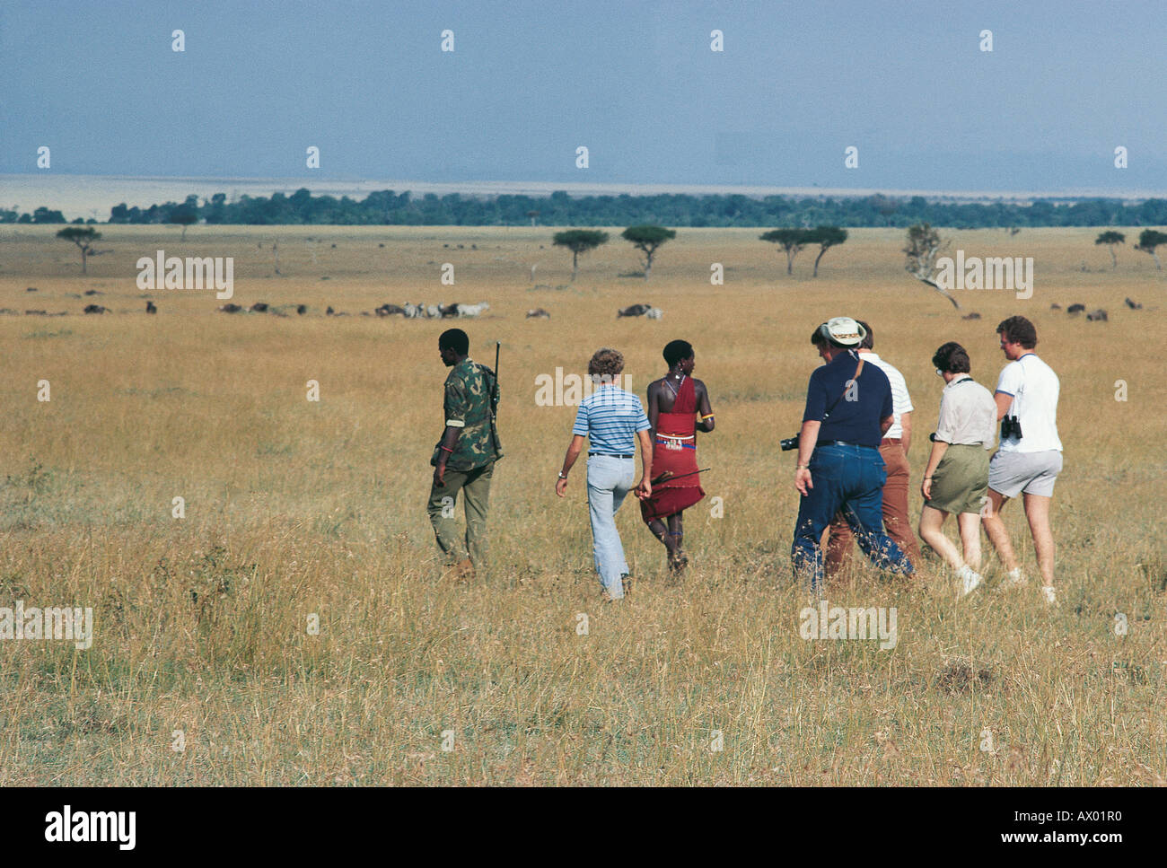 Ranger armed with hunting rifle and Maasai moran with clients on game ...