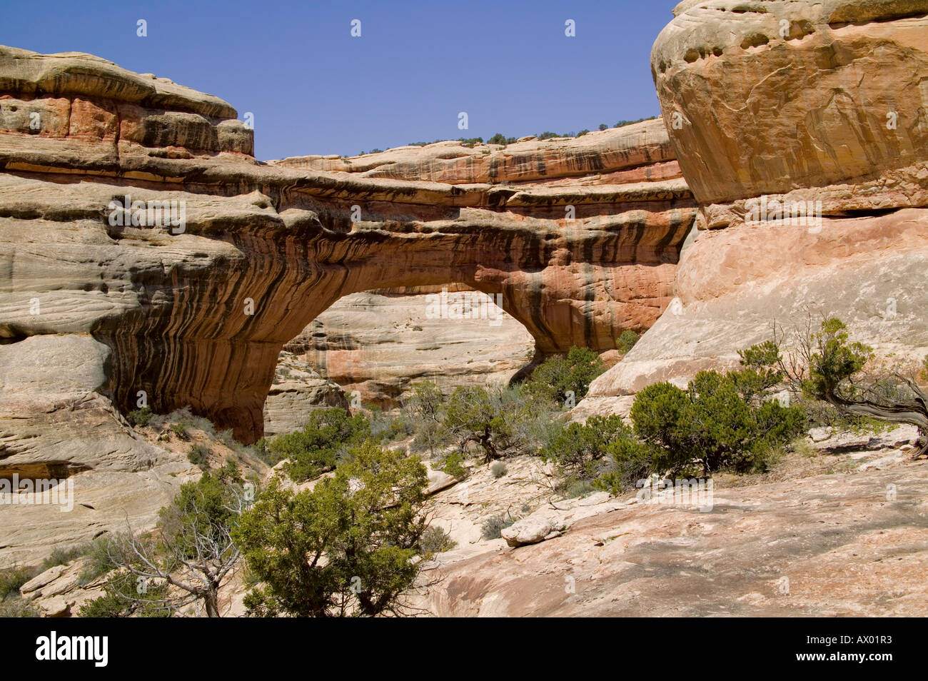 Natural Bridges, Utah Stock Photo - Alamy