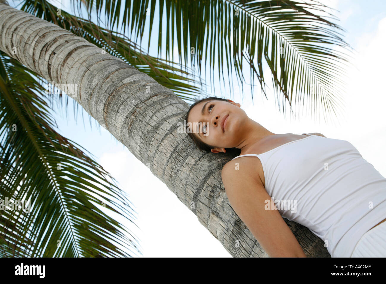Cancun beach mexico palm tree hi-res stock photography and images - Alamy