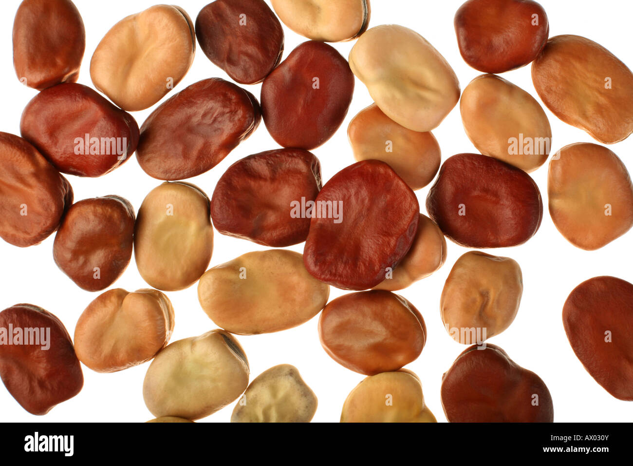Brown dry bean isolated on white background Stock Photo - Alamy