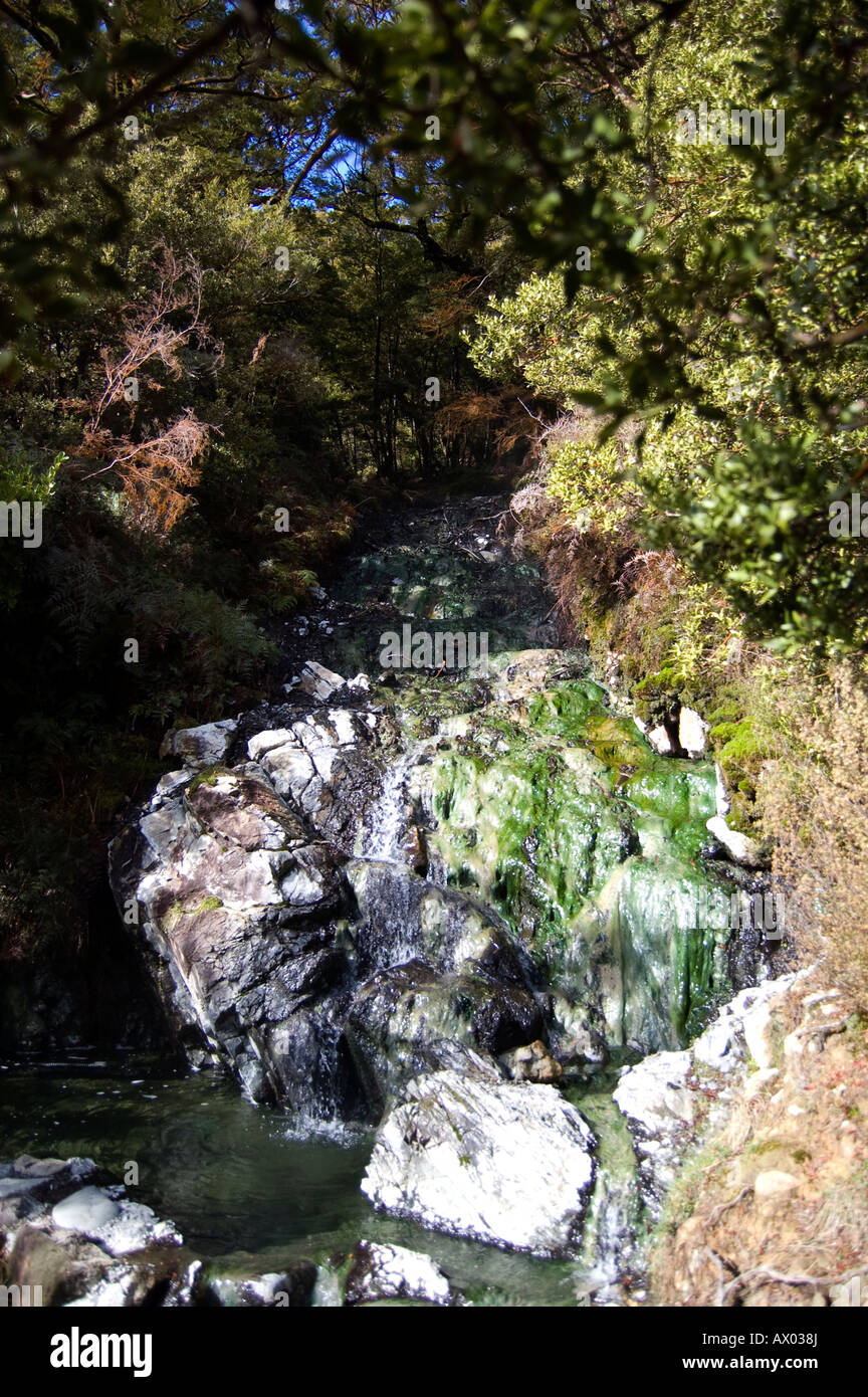 Lake sumner lake sumner hi-res stock photography and images - Alamy