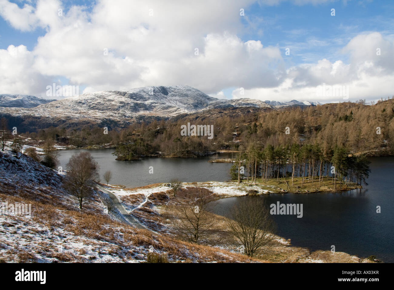 Looking across Tarn Hows to Wetherlam in snow Stock Photo - Alamy