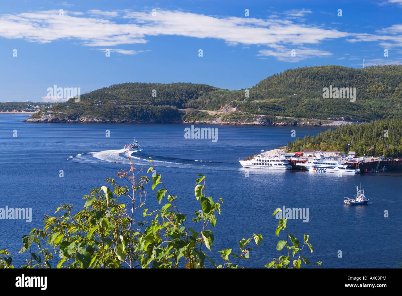 Tadoussac Bay and Saguenay river estuary with whale watching cruising ...