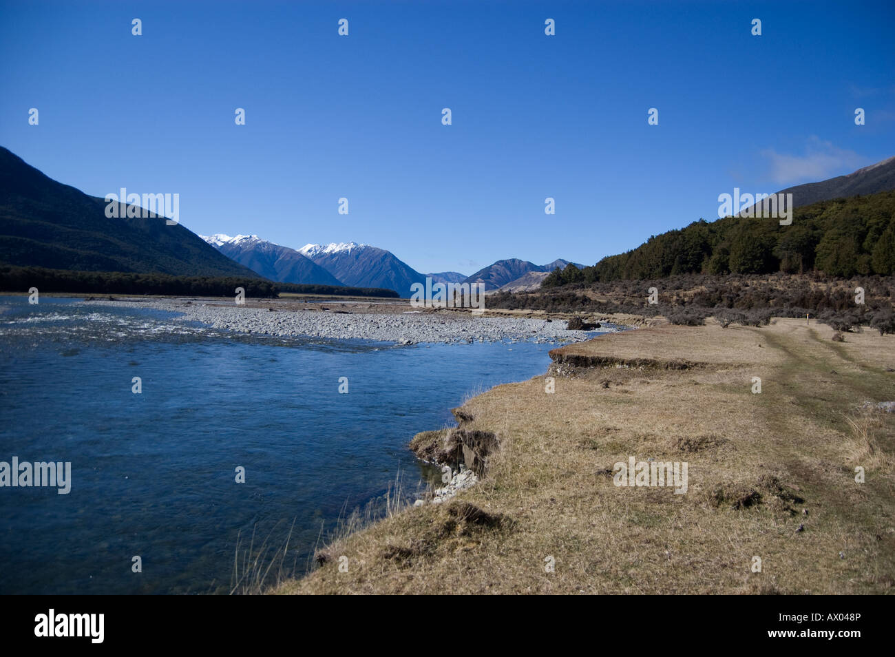 Lake Sumner, South Island, New Zealand Stock Photo - Alamy
