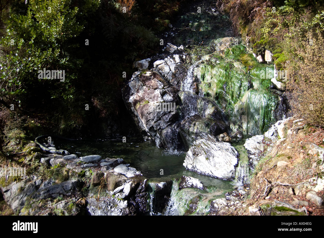 Natural Hot Spring, Lake Sumner, South Island, New Zealand Stock Photo ...
