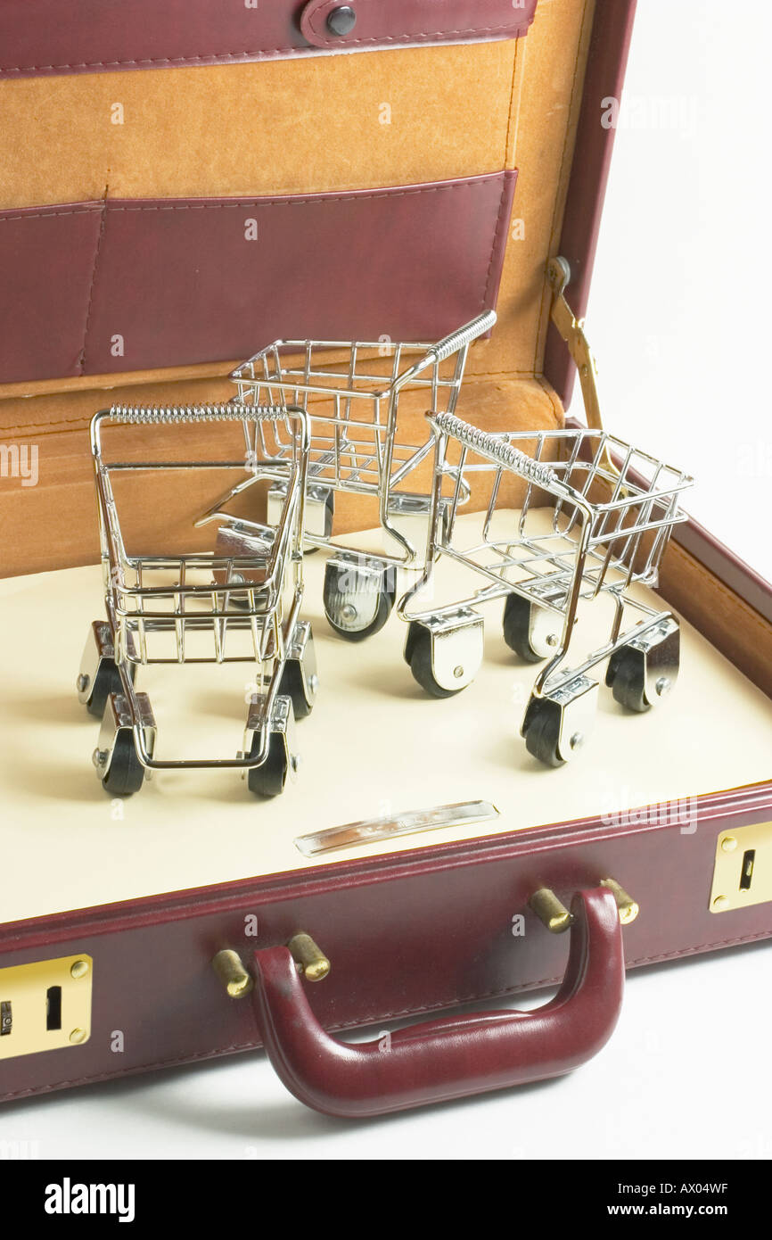 Miniature Shopping Trolleys in Briefcase Stock Photo - Alamy