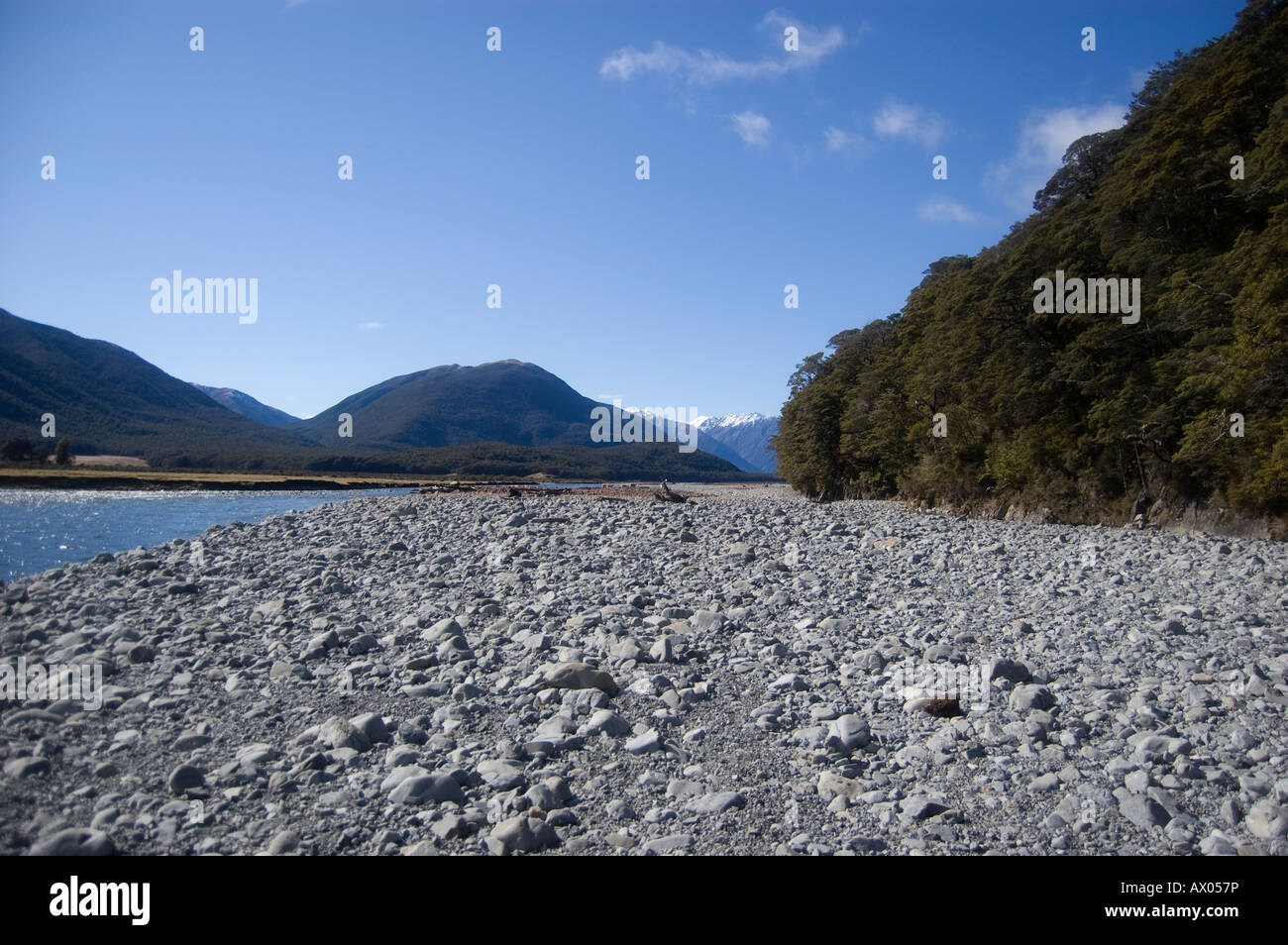 Lake Sumner, South Island, New Zealand Stock Photo - Alamy