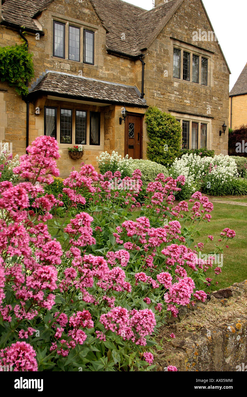 UK Worcestershire Broadway High Street house with valerian flowering in ...