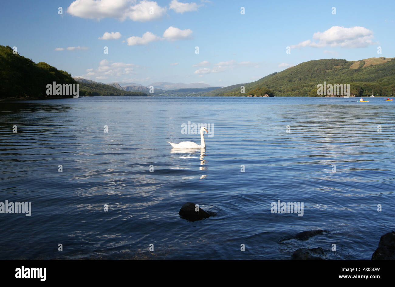 Swan Lake Coniston, Lake District, England Stock Photo - Alamy