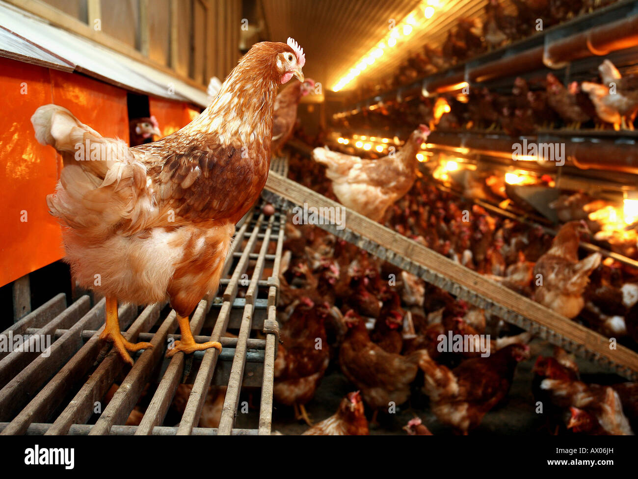 Mass production hi-res stock photography and images - Alamy