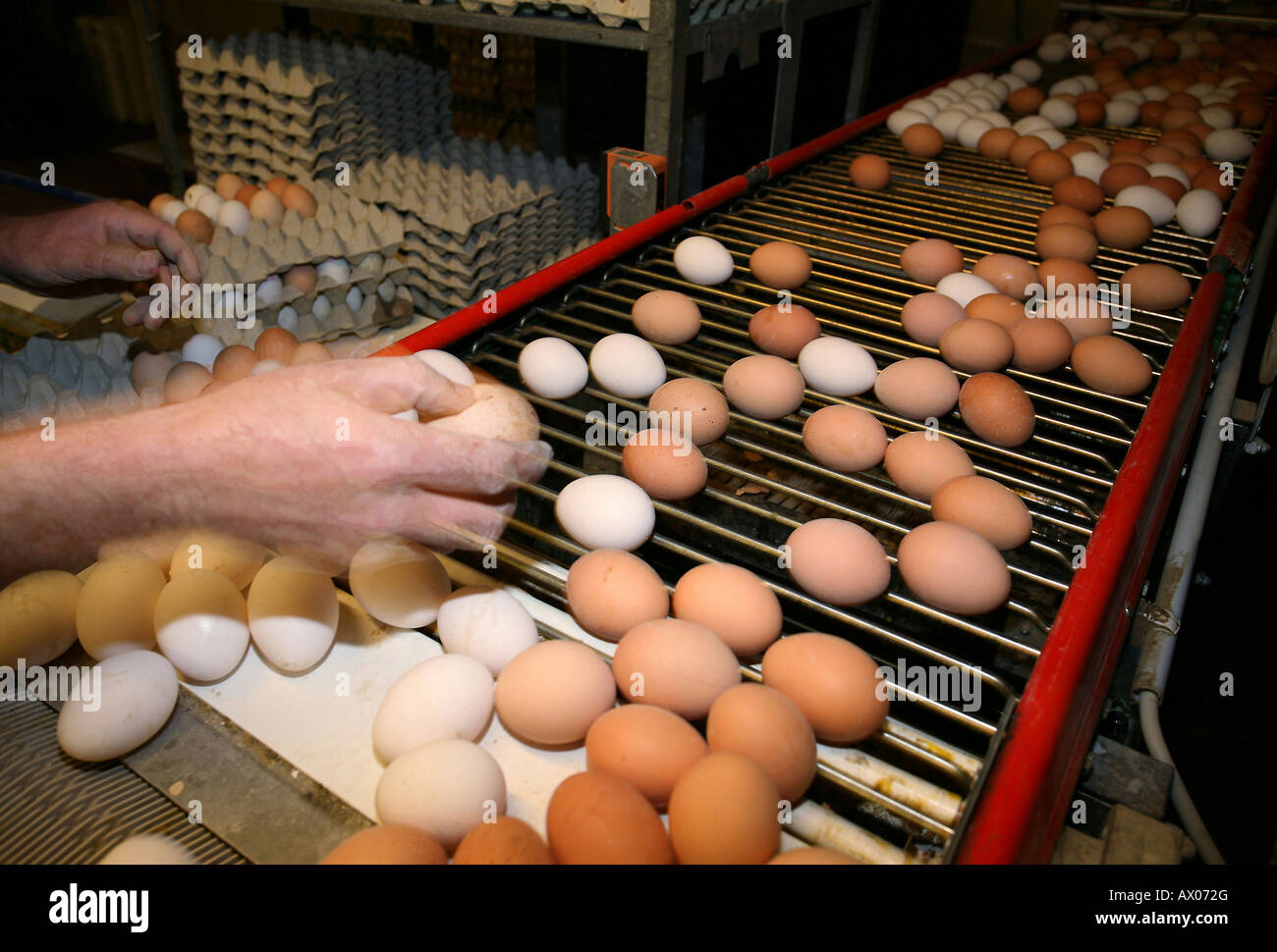 Rolling eggs germany hi-res stock photography and images - Alamy