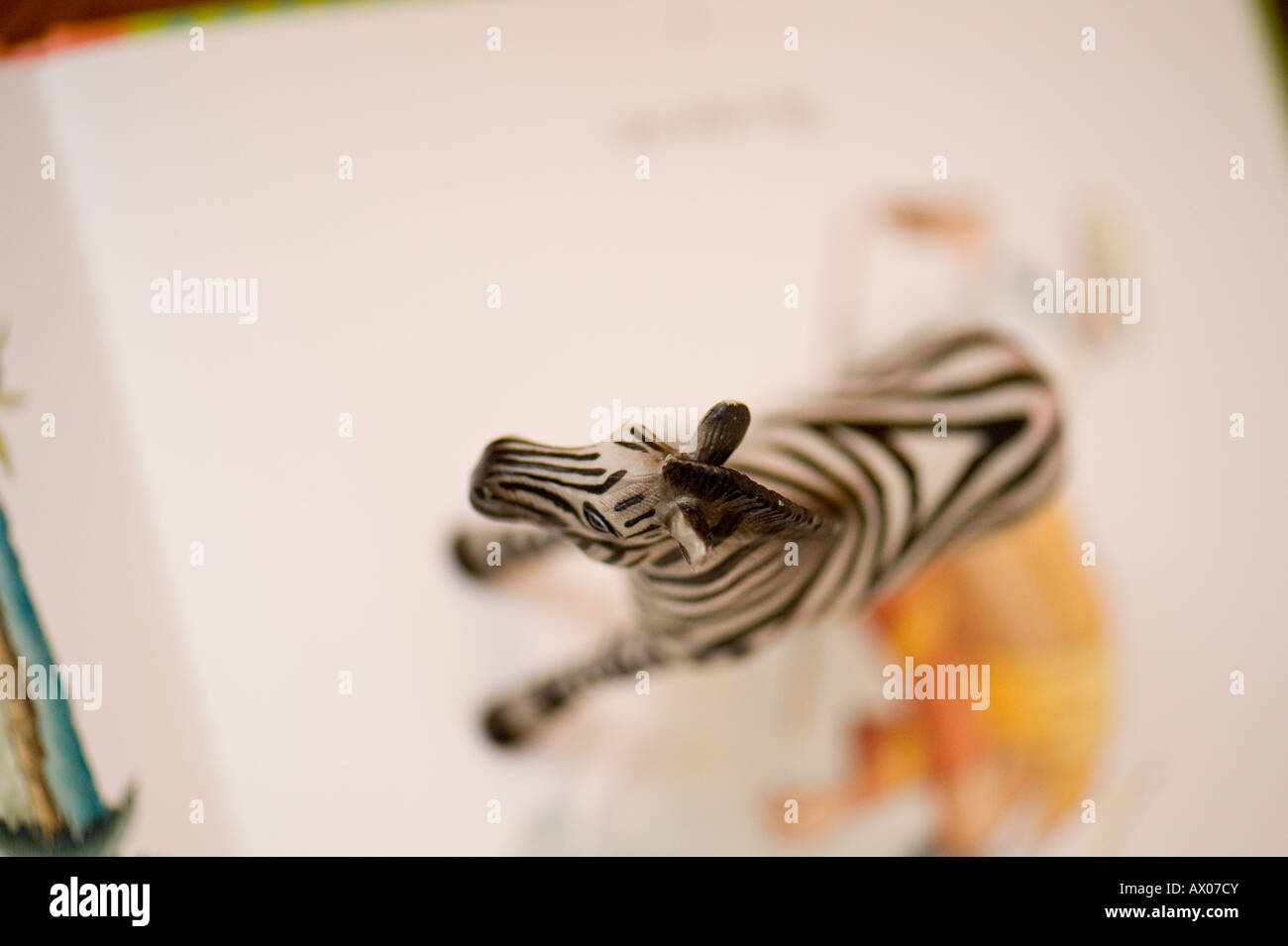 A toy zebra standing on a book Stock Photo - Alamy