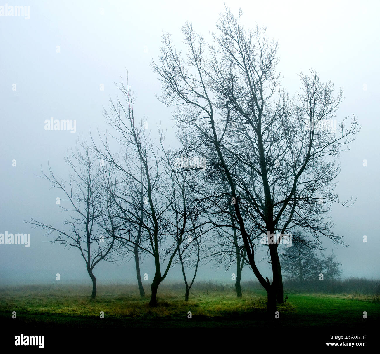 Mist weather morning hi-res stock photography and images - Alamy