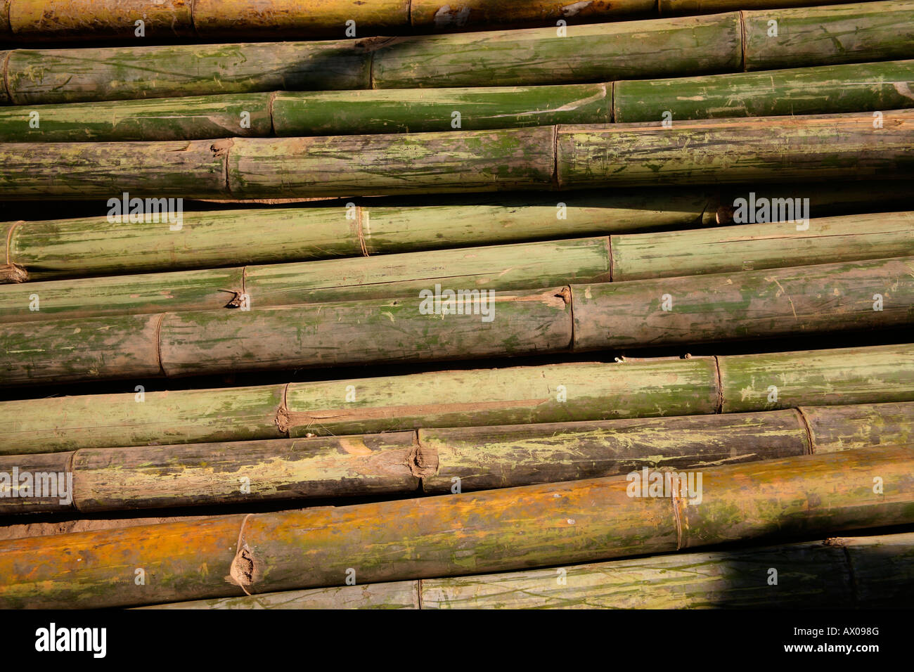 Bamboo plantations hi-res stock photography and images - Alamy