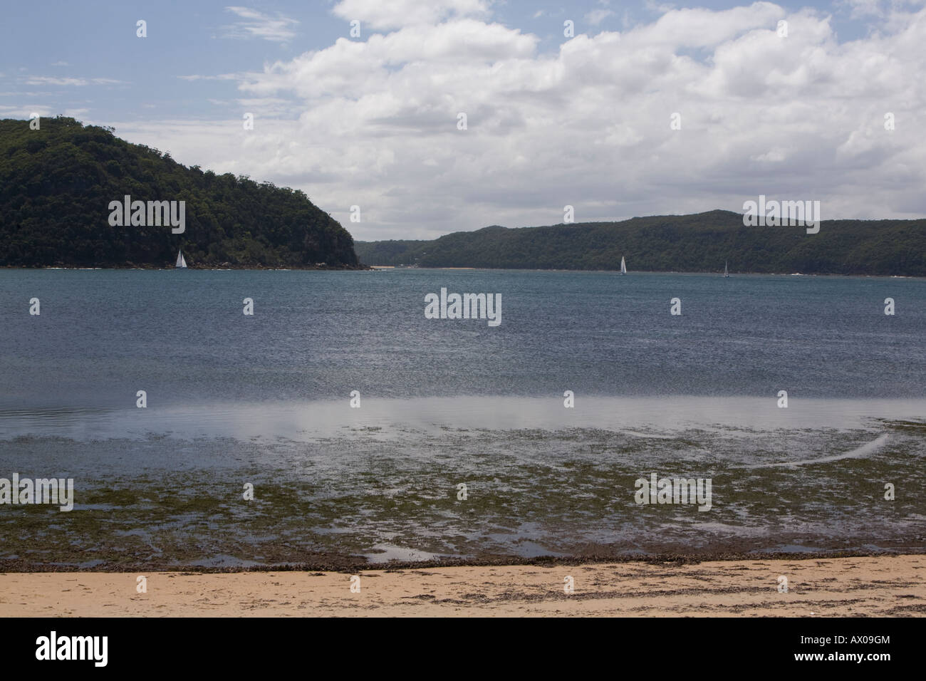 Sailing palm hi-res stock photography and images - Alamy