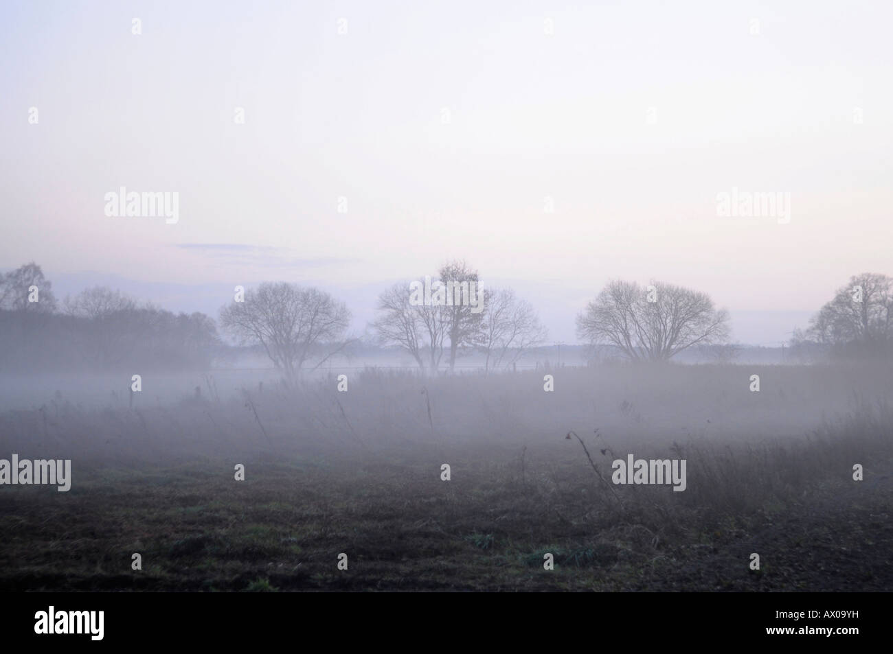 Evening fog above a field Stock Photo - Alamy